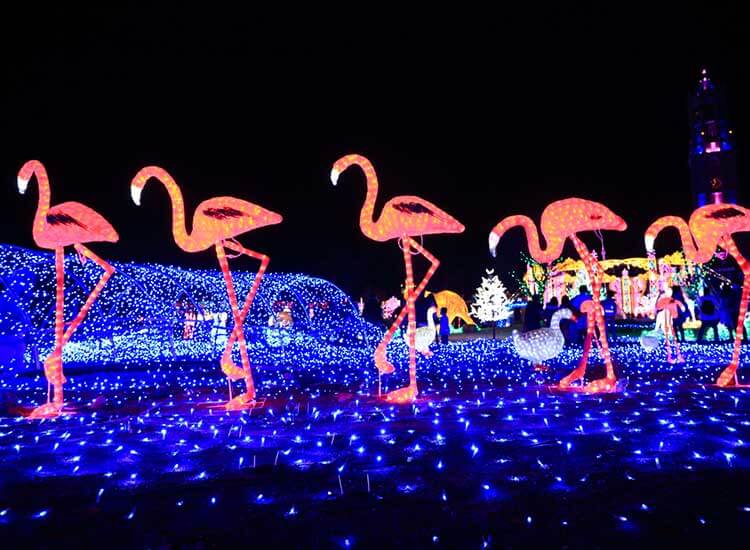 九州豪斯登堡．花與光的夢幻樂園- colatour 可樂旅遊